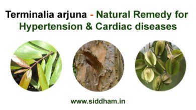 Herbal Remedy for Hypertension & Cardiac diseases